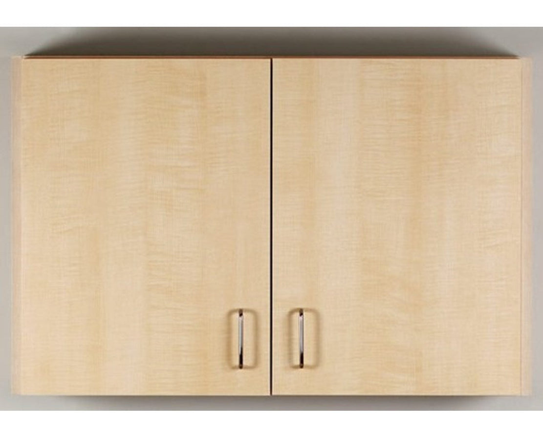 Clinton Wall Cabinet w/ 2 Doors - Save at — Tiger Medical