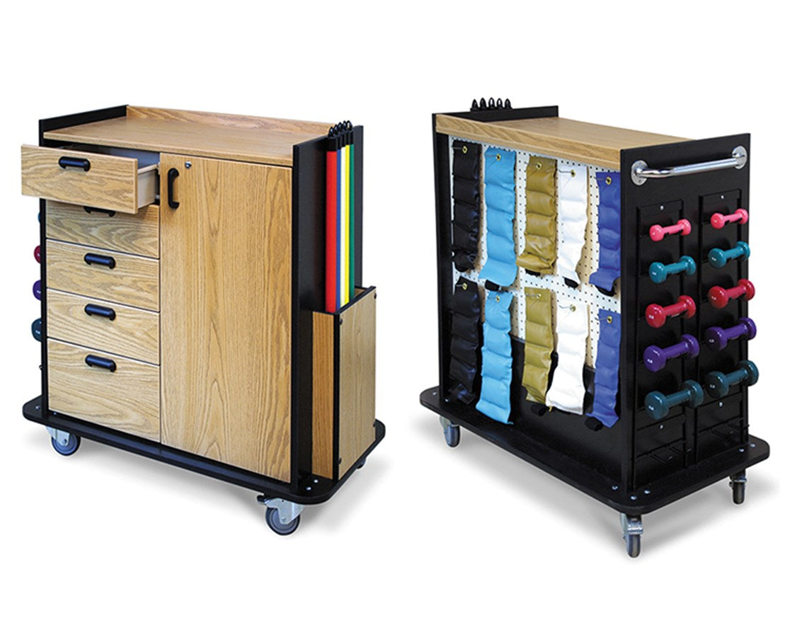 Mobile Therapy Station — Tiger Medical