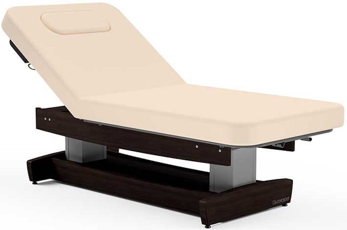 Performalift Power Hi-Lo Massage Table w/ Lift Assist Adjustable Back ...